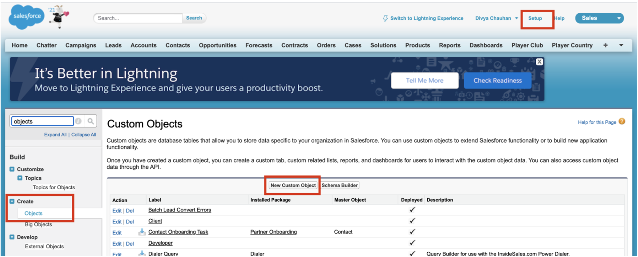 Understanding Salesforce Standard And Custom Objects Phoneiq